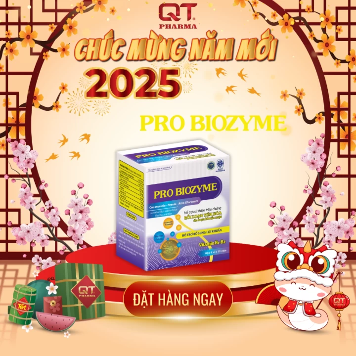 Men vi sinh Probiozyme (vỉ) - Danh mục 4