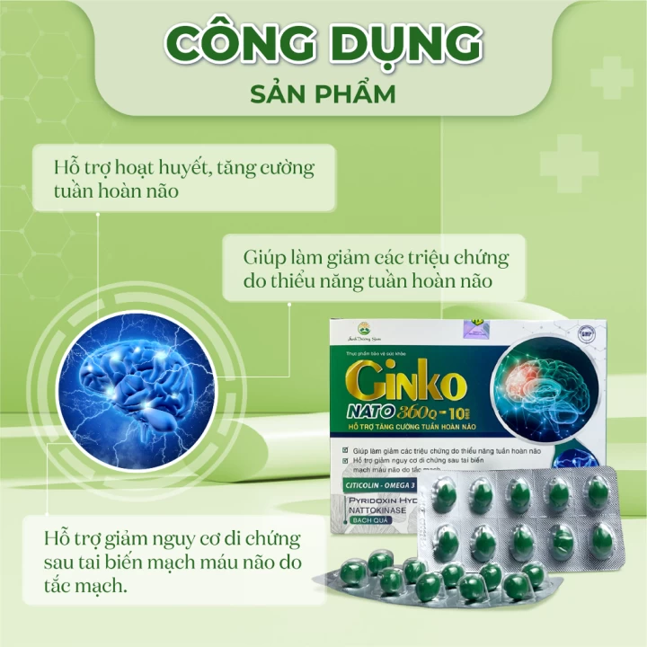 Ginko Nato 360Q - 10 Gold cty Ánh Dương H100v xanh (Mua 10 tặng 2 lọ ...